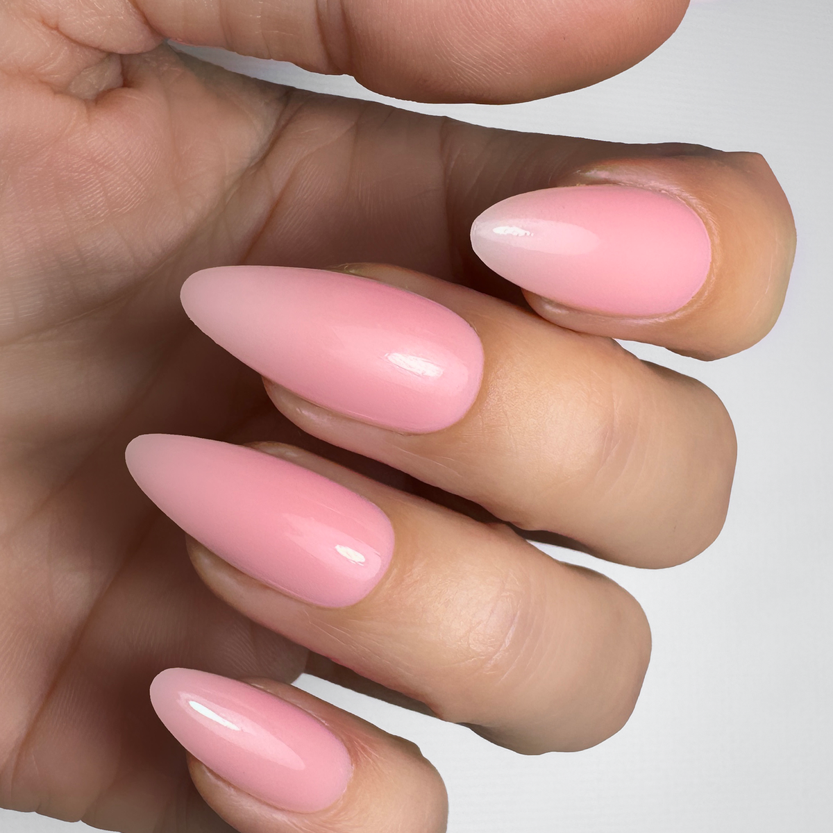 BSC Builder Gel in Flesje | Gentle Poeder Roze | 15 ml – Bodyspeak ...